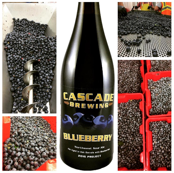 Cascade Brewing Releases Blueberry Northwest Sour Ale 2016 | Mashing In