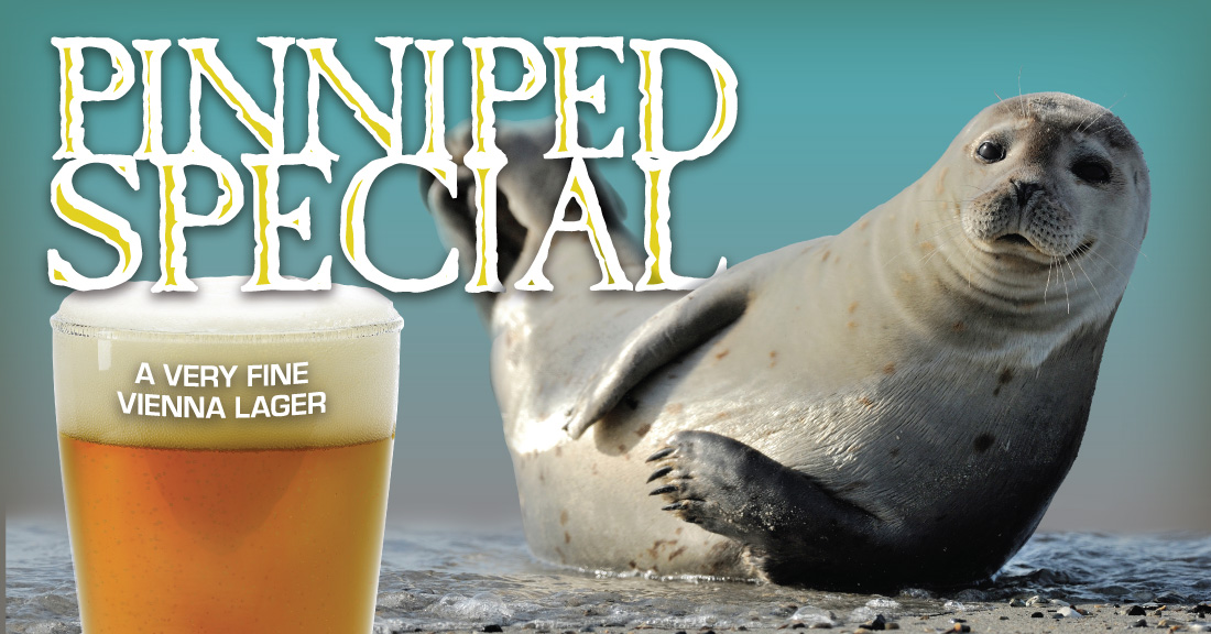 Smuttynose Brewing Adds Pinniped Special to Year-Round Lineup | Mashing In